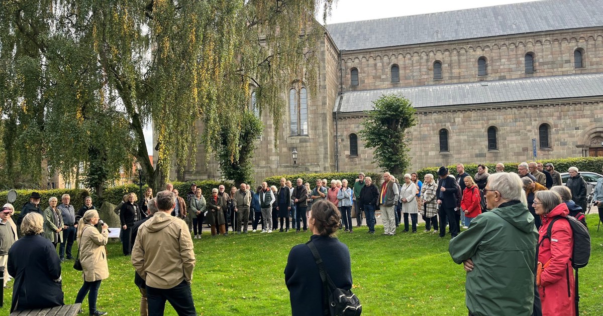 Borgerinddragelse - Viborg Kommune